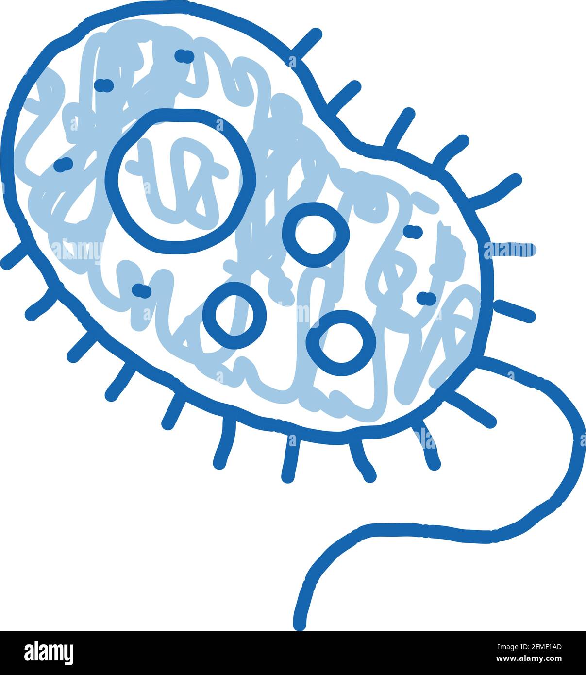 Microscopic bacteria long hi-res stock photography and images - Alamy