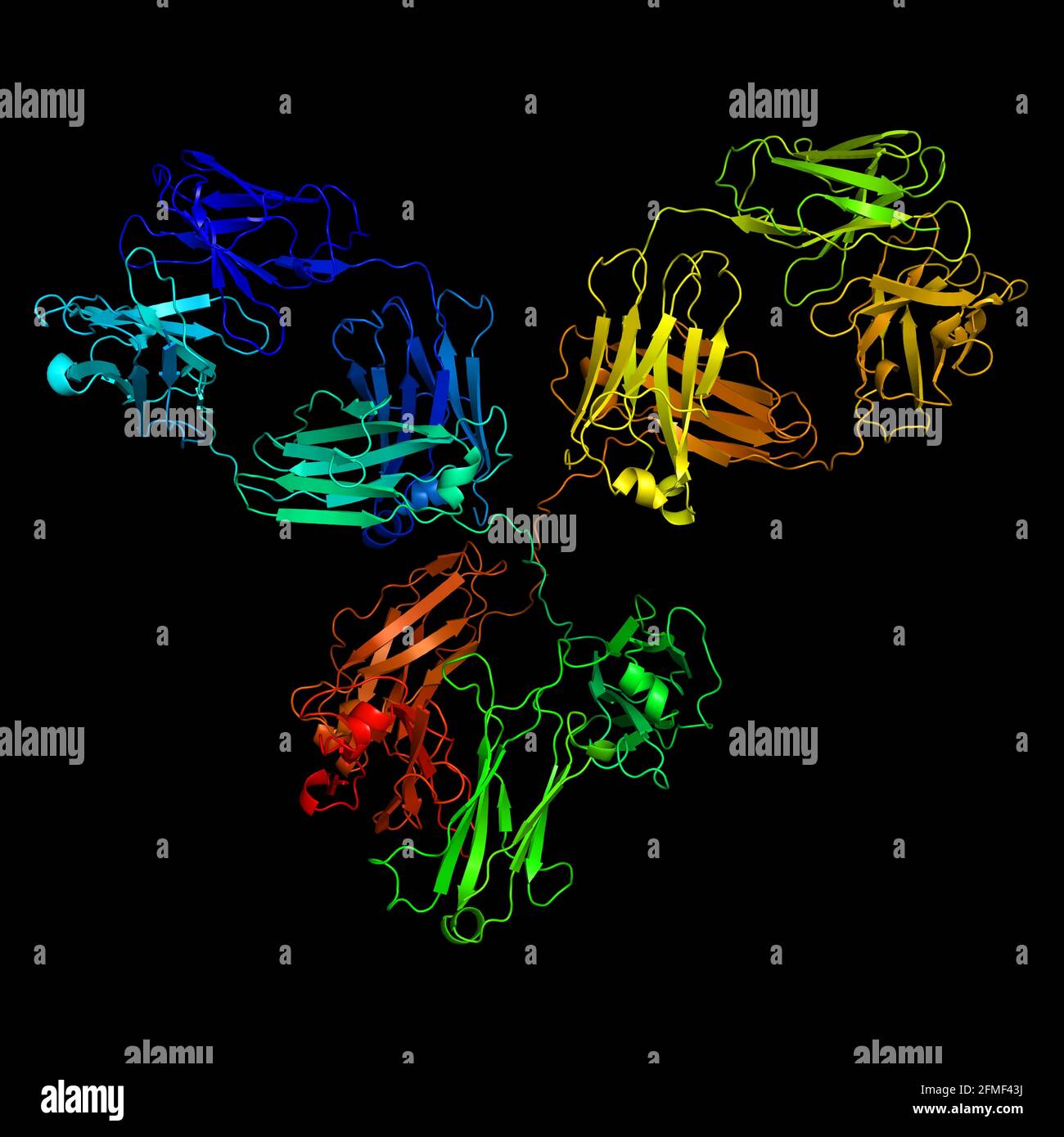 Immunoglobulin IgG1 monoclonal antibody molecule 3D render chemical ...