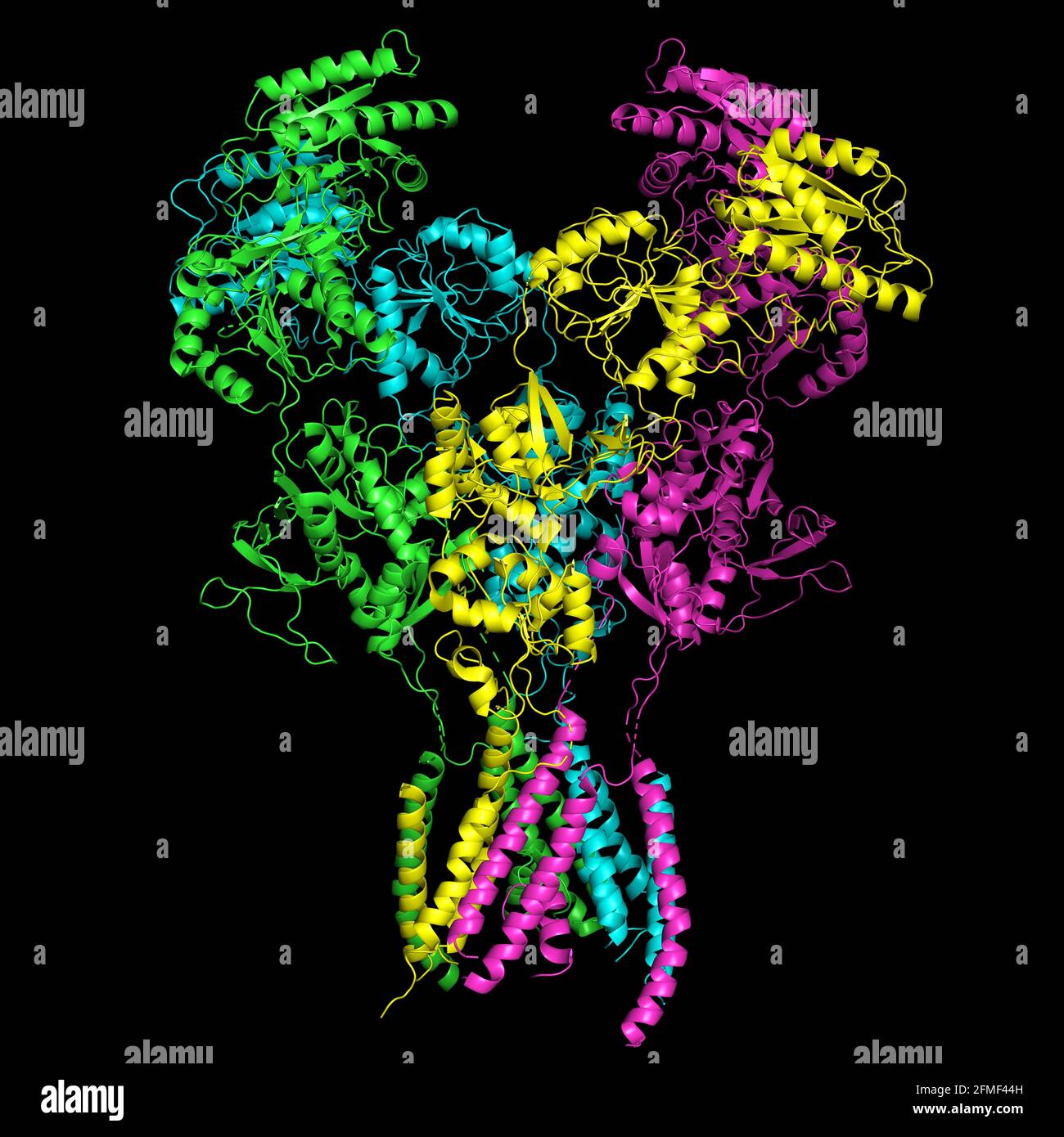 NMDA receptor molecule 3D render chemical structure Stock Photo - Alamy