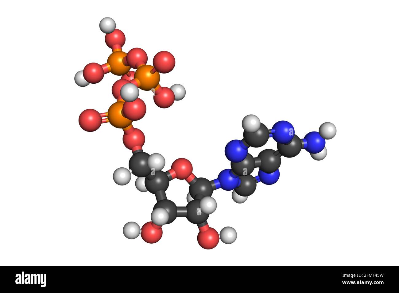 Adenosine Triphosphate Atp Molecule 3d Render Chemical Structure Stock