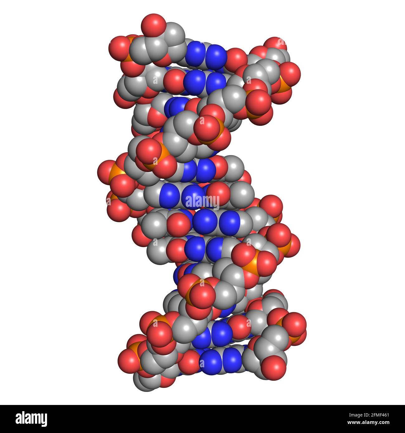 DNA Deoxyribonucleic acid molecule 3D render chemical structure Stock Photo - Alamy
