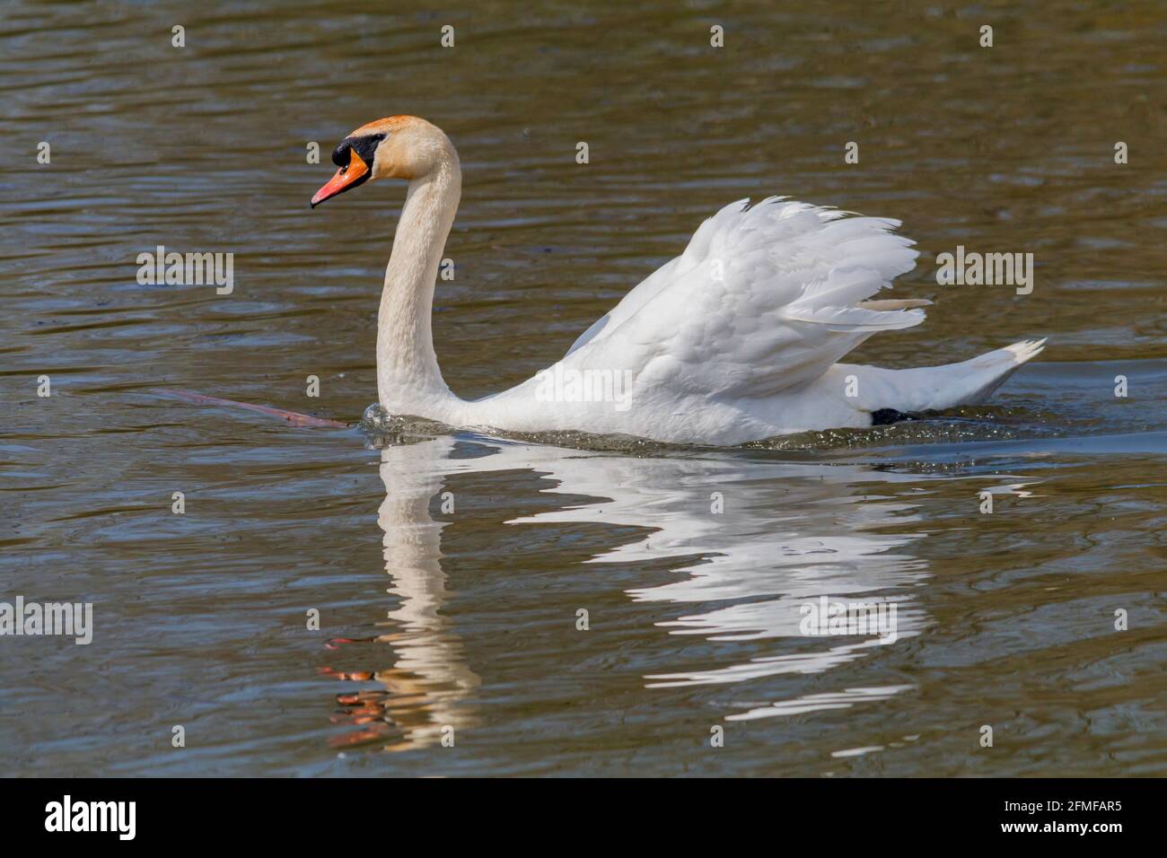 Backwell, somerset hi-res stock photography and images - Alamy