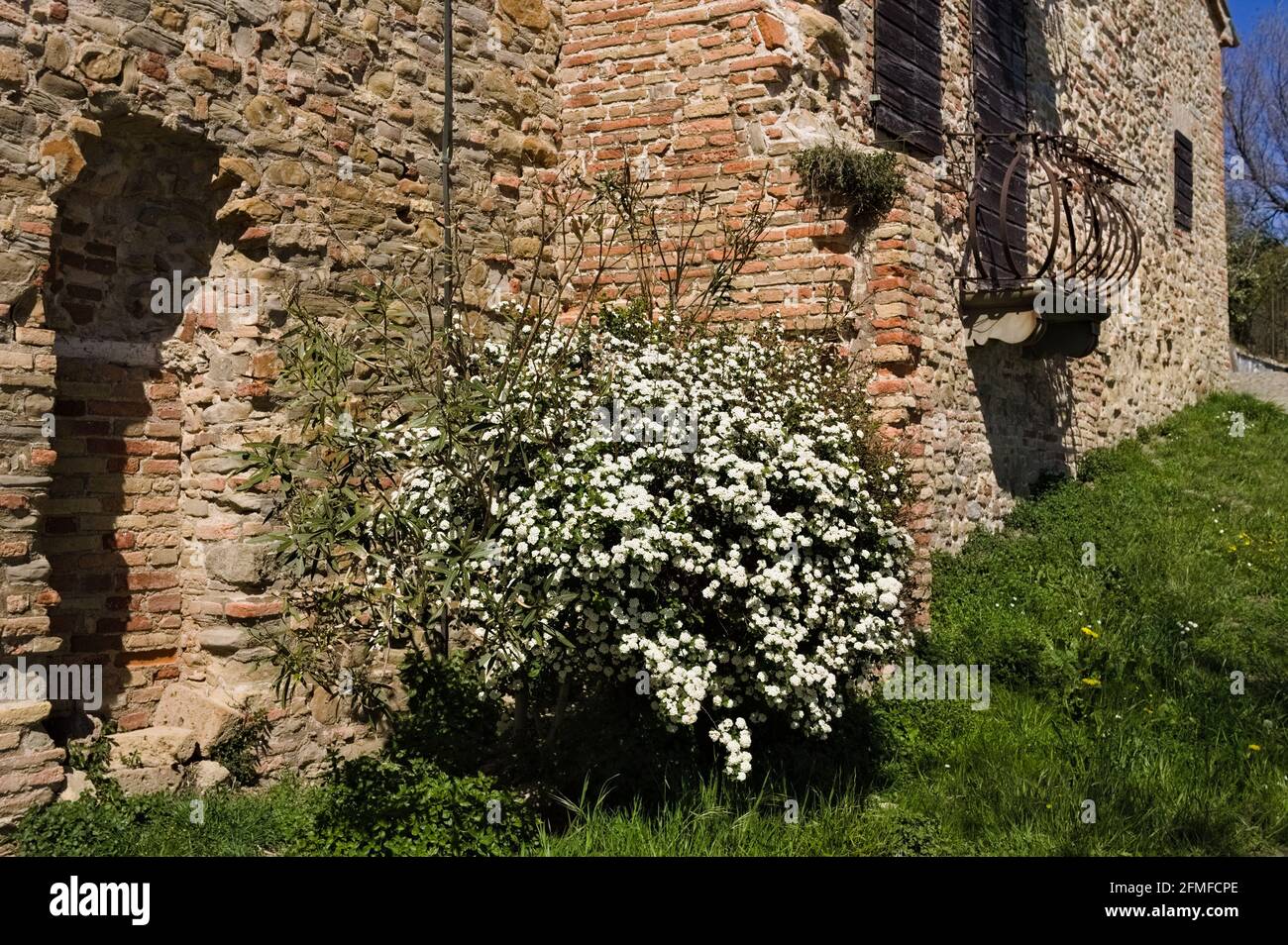 Flowers in front of abandoned building hi-res stock photography and ...
