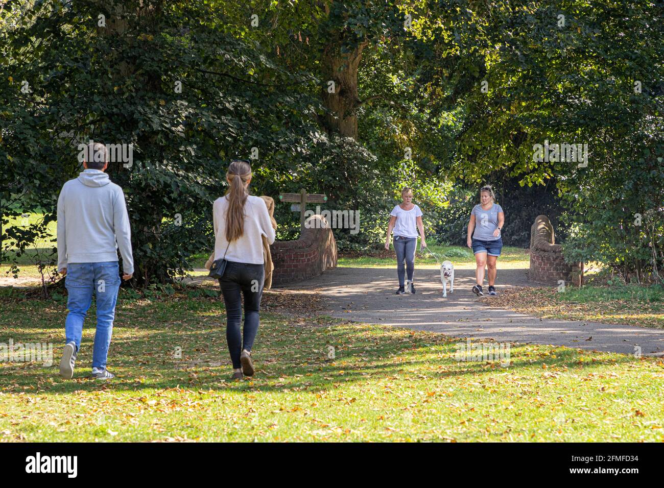 Nowton Park, Bury St Edmunds, Suffolk, England Stock Photo - Alamy