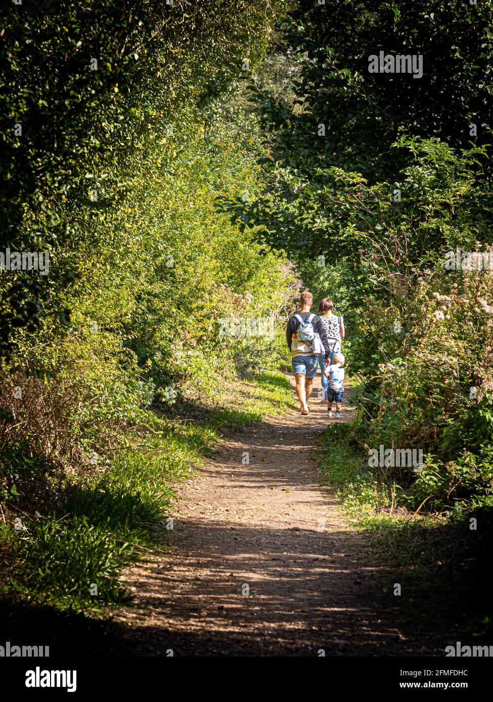 Lackford Lakes, nature reserve, Bury St Edmunds, Suffolk, England Stock ...