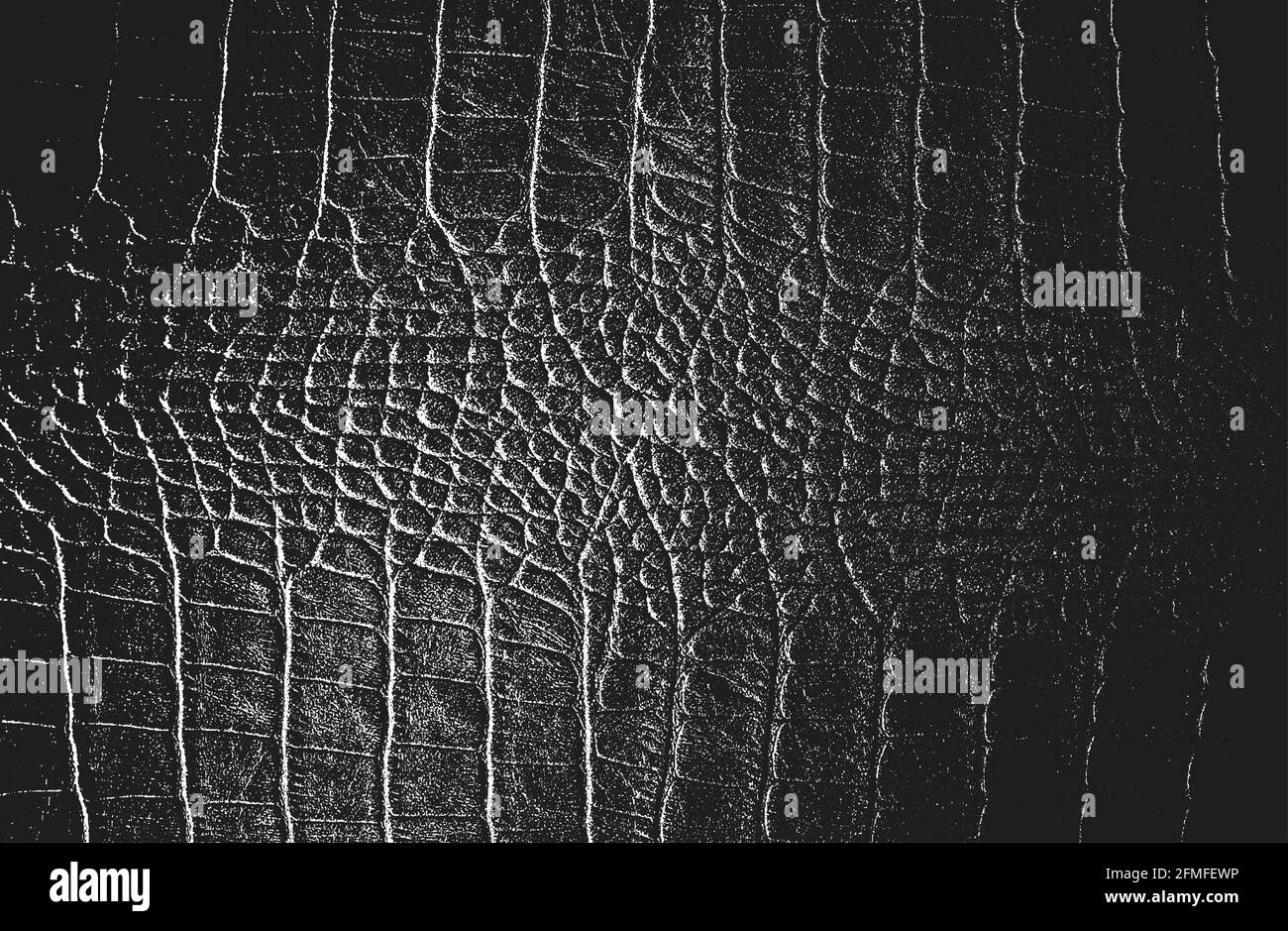 Distressed overlay texture of crocodile or snake skin leather, grunge ...