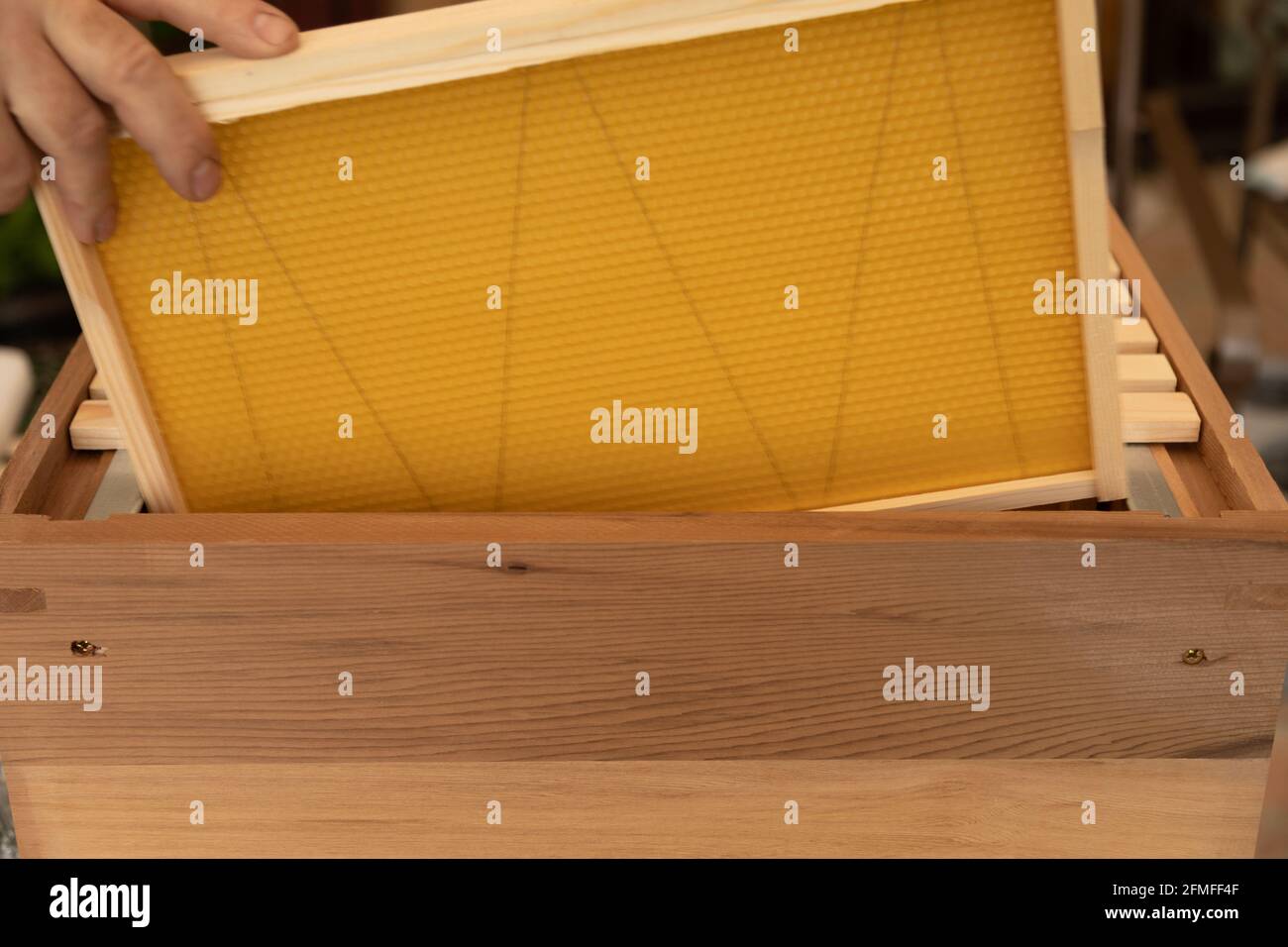 Brood frame foundation hi-res stock photography and images - Alamy