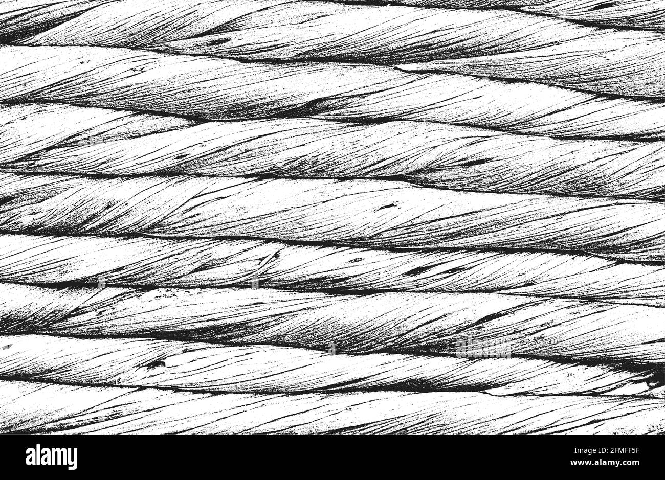 Rope Texture Vector Rope Seamless Pattern. Rope Texture Vector
