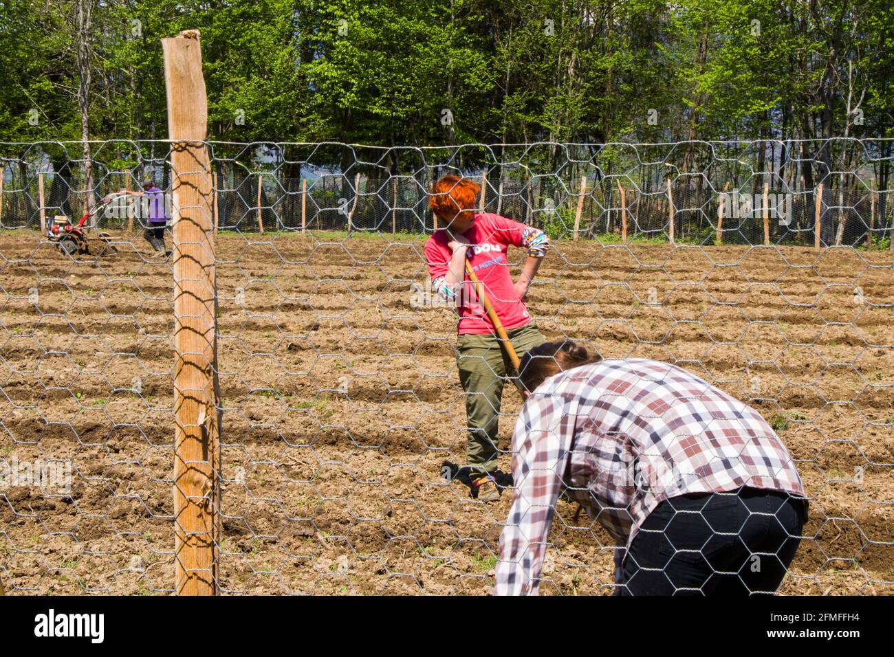 Georgia farm stand hi-res stock photography and images - Alamy