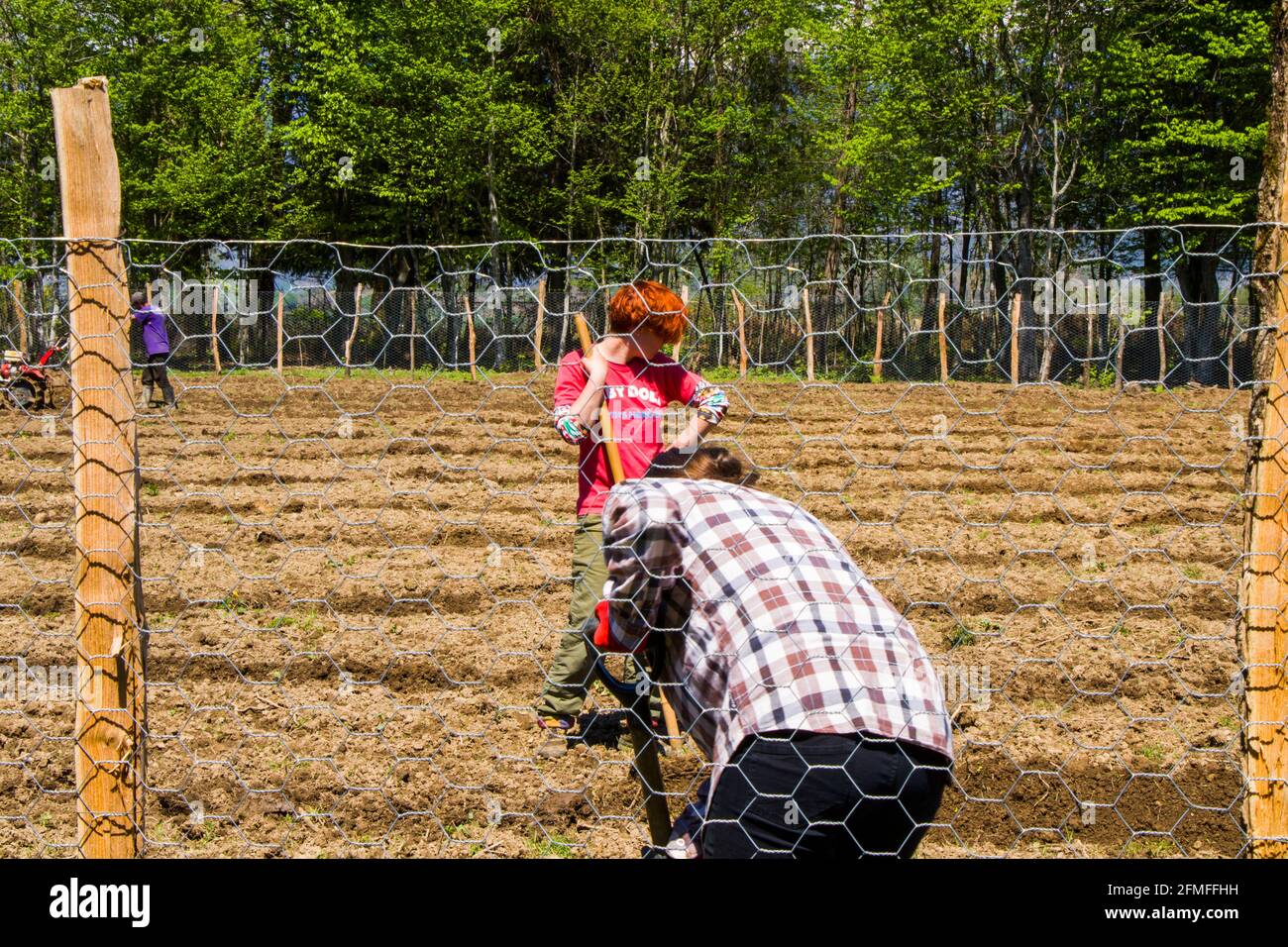 Georgia farm farming agriculture hi-res stock photography and images ...