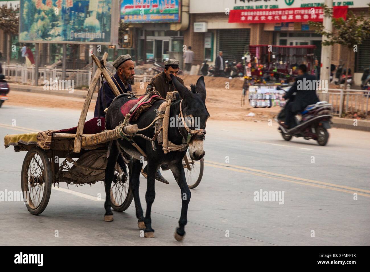 Mule Cart High Resolution Stock Photography and Images - Alamy