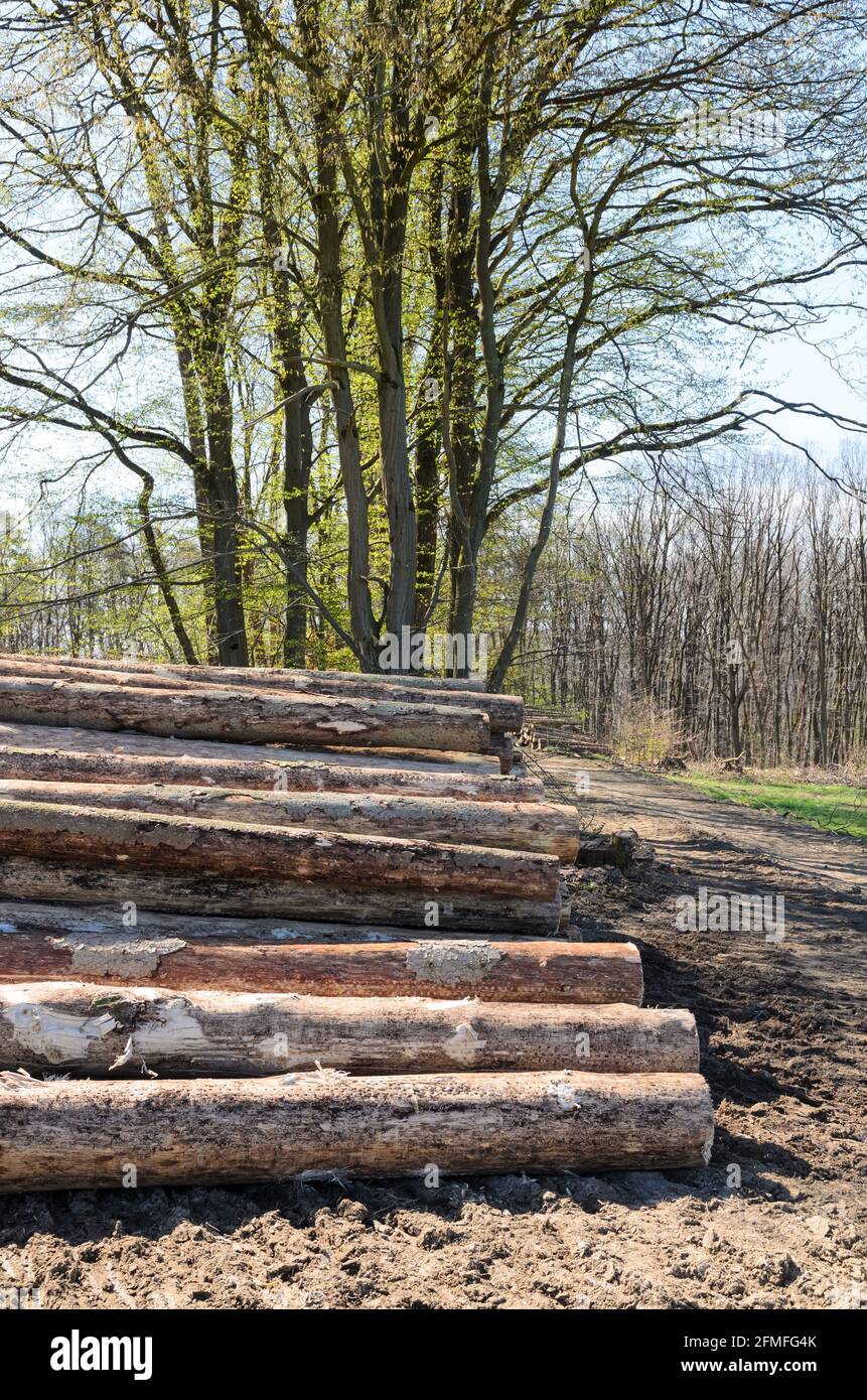 Numbered trees hi-res stock photography and images - Alamy