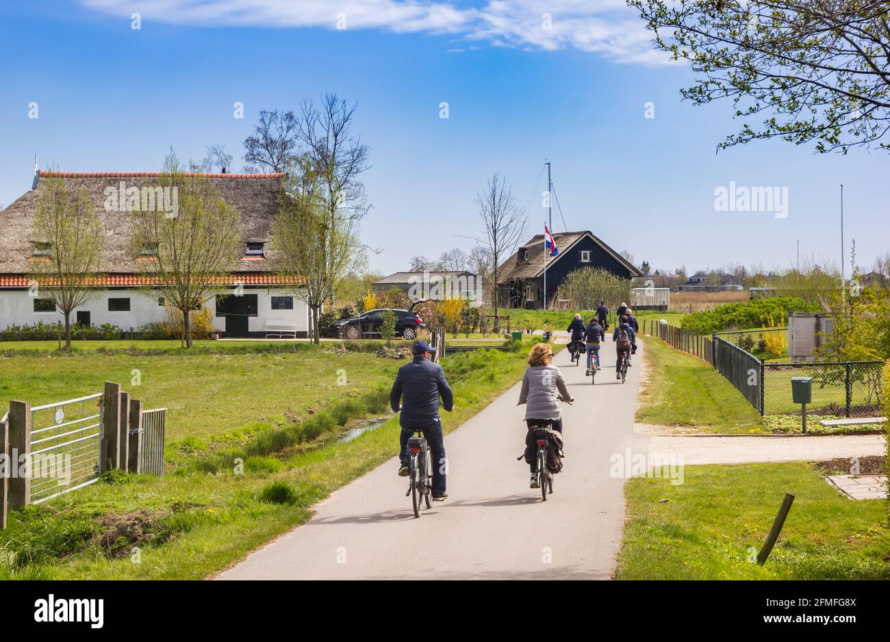 People riding their bicycle in the landscape of Friesland, Netherlands ...
