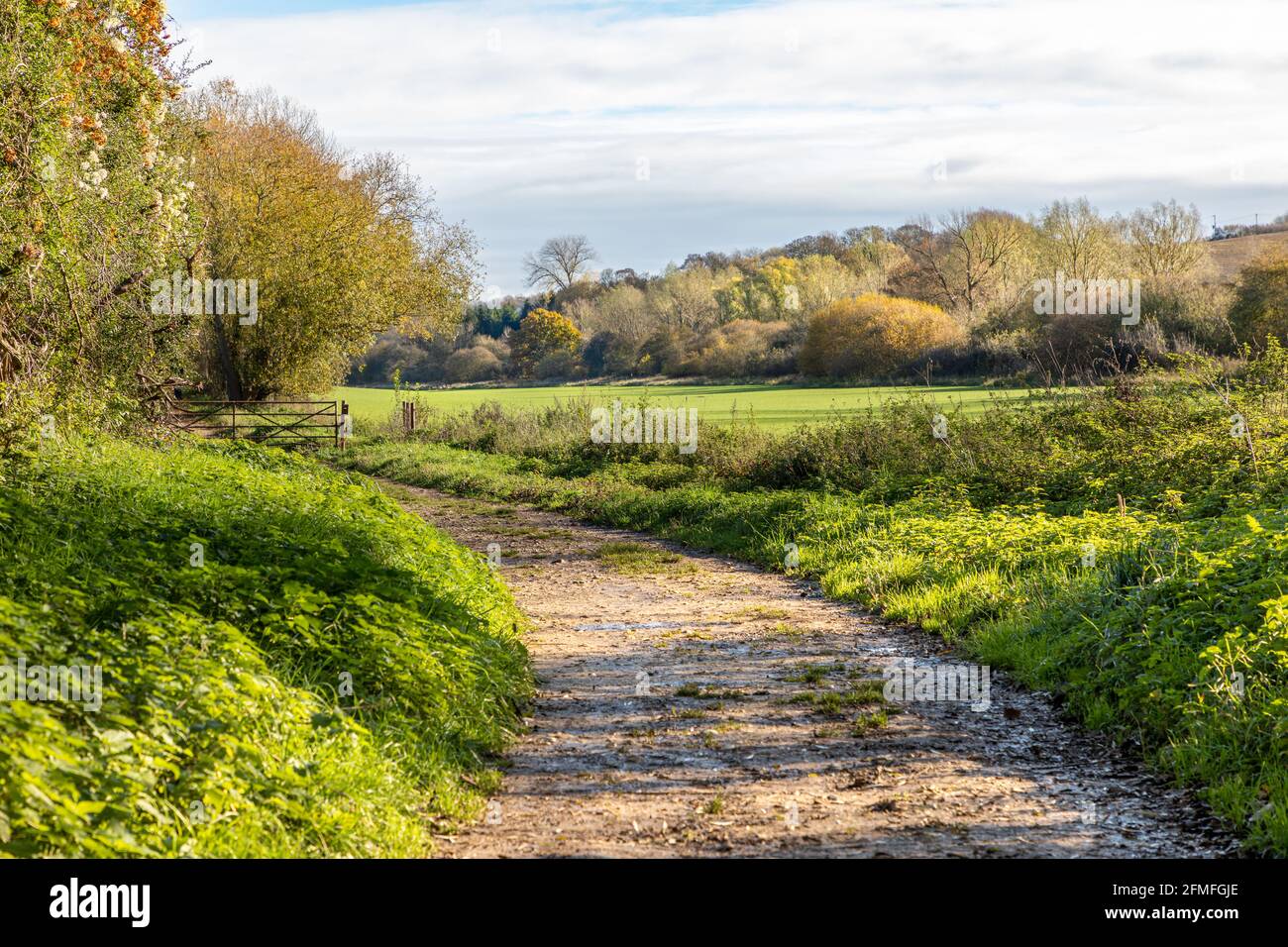Footpath in English countryside, Newport, Essex, England Stock Photo ...