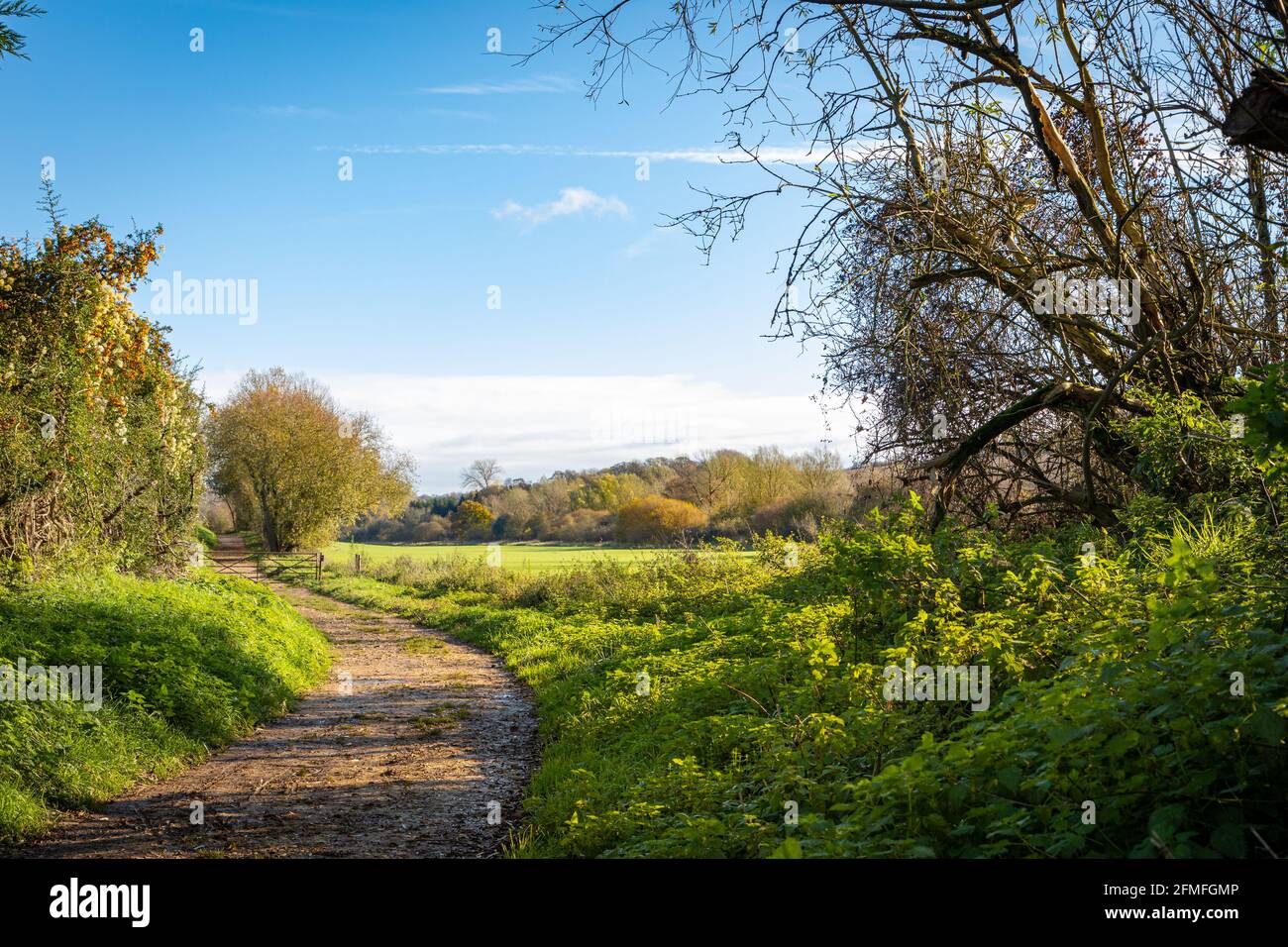Footpath in English countryside, Newport, Essex, England Stock Photo ...
