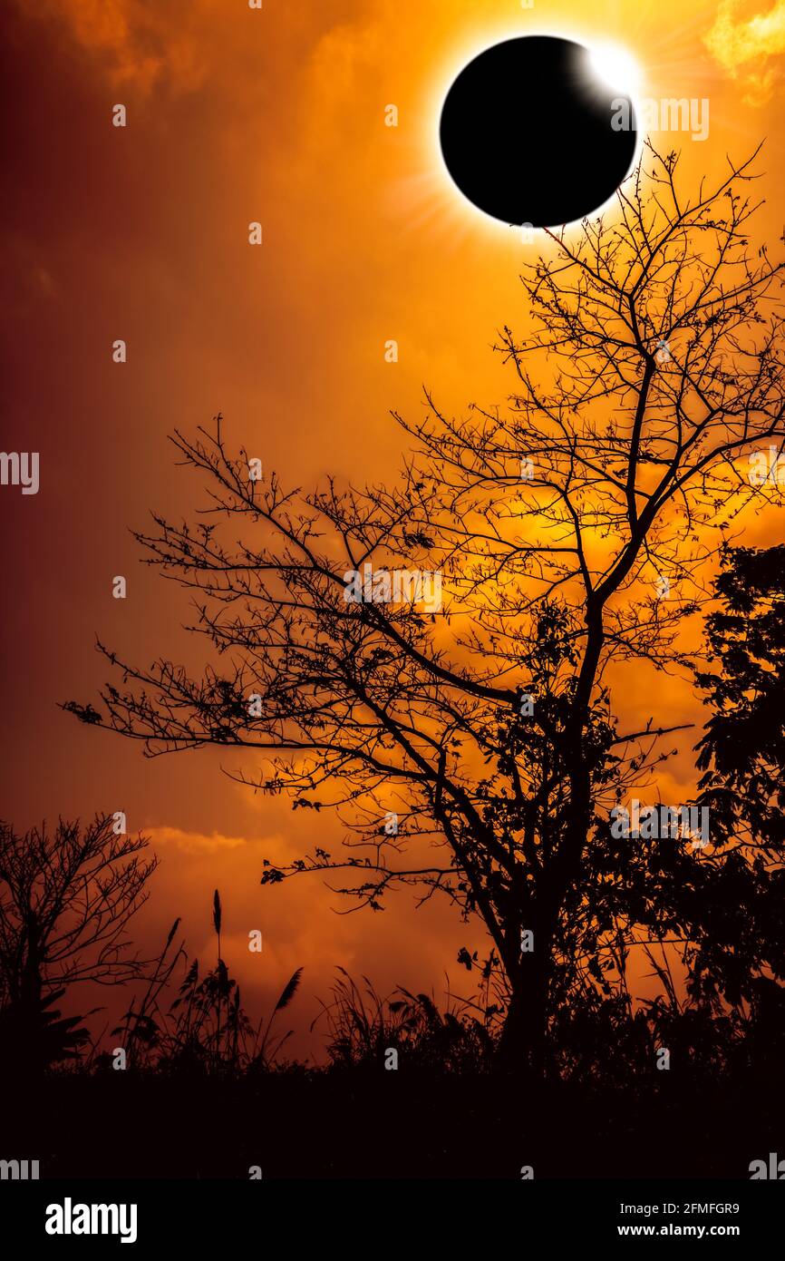 Amazing scientific natural phenomenon. Prominence and internal sun's ...