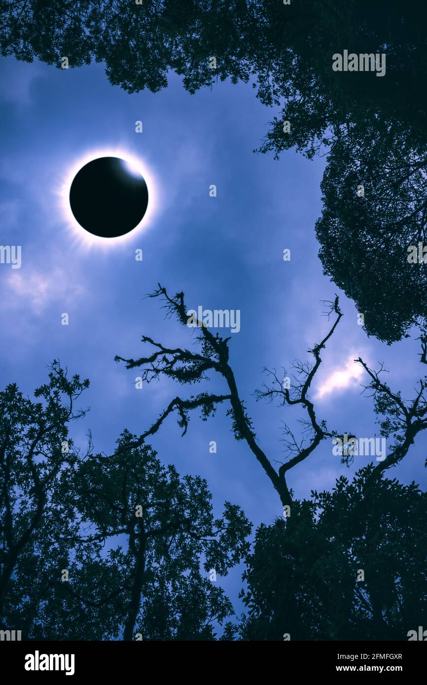 Amazing scientific natural phenomenon. Prominence and internal sun's ...