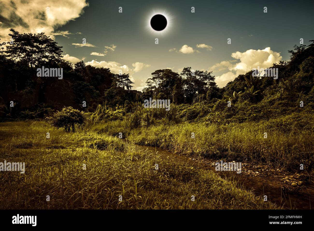 Total solar eclipse glowing on sky above wilderness in forest. Amazing ...