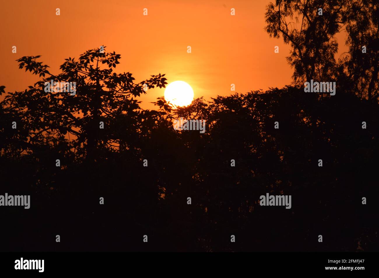 Sunset beautiful nature scene Stock Photo - Alamy