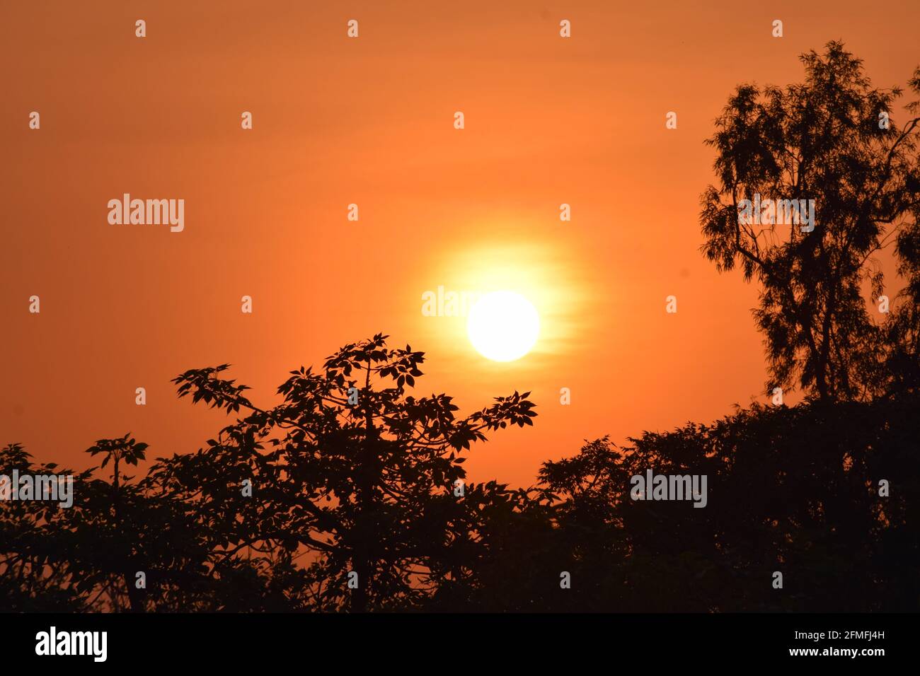 Sunset behind the trees Stock Photo - Alamy
