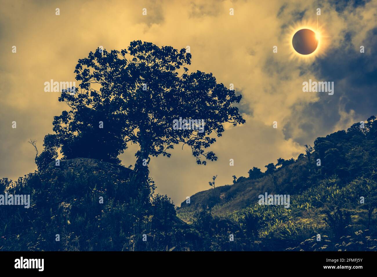 Amazing scientific natural phenomenon. The Moon covering the Sun. Total ...