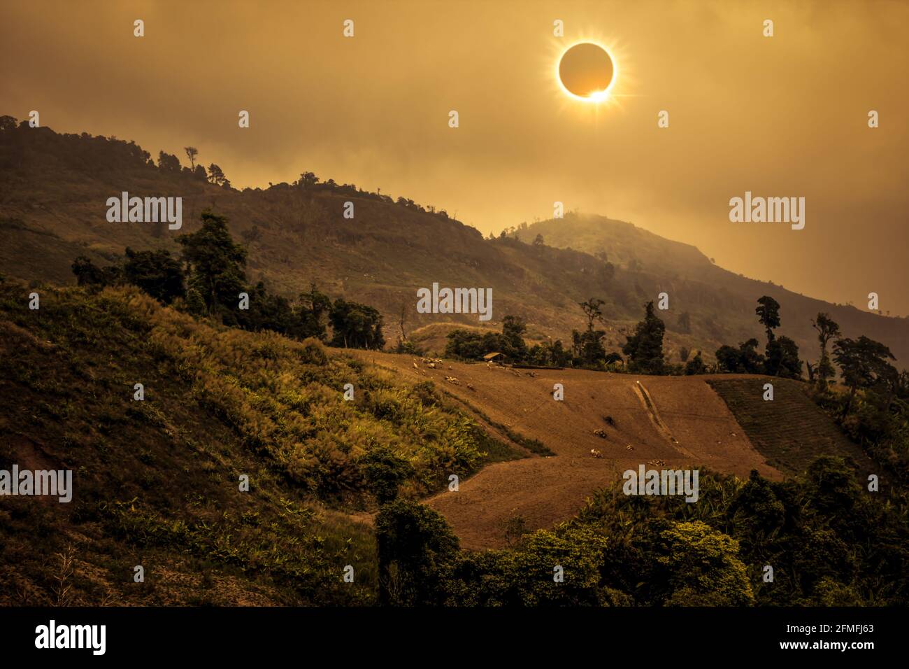 Amazing scientific natural phenomenon. The Moon covering the Sun. Total ...