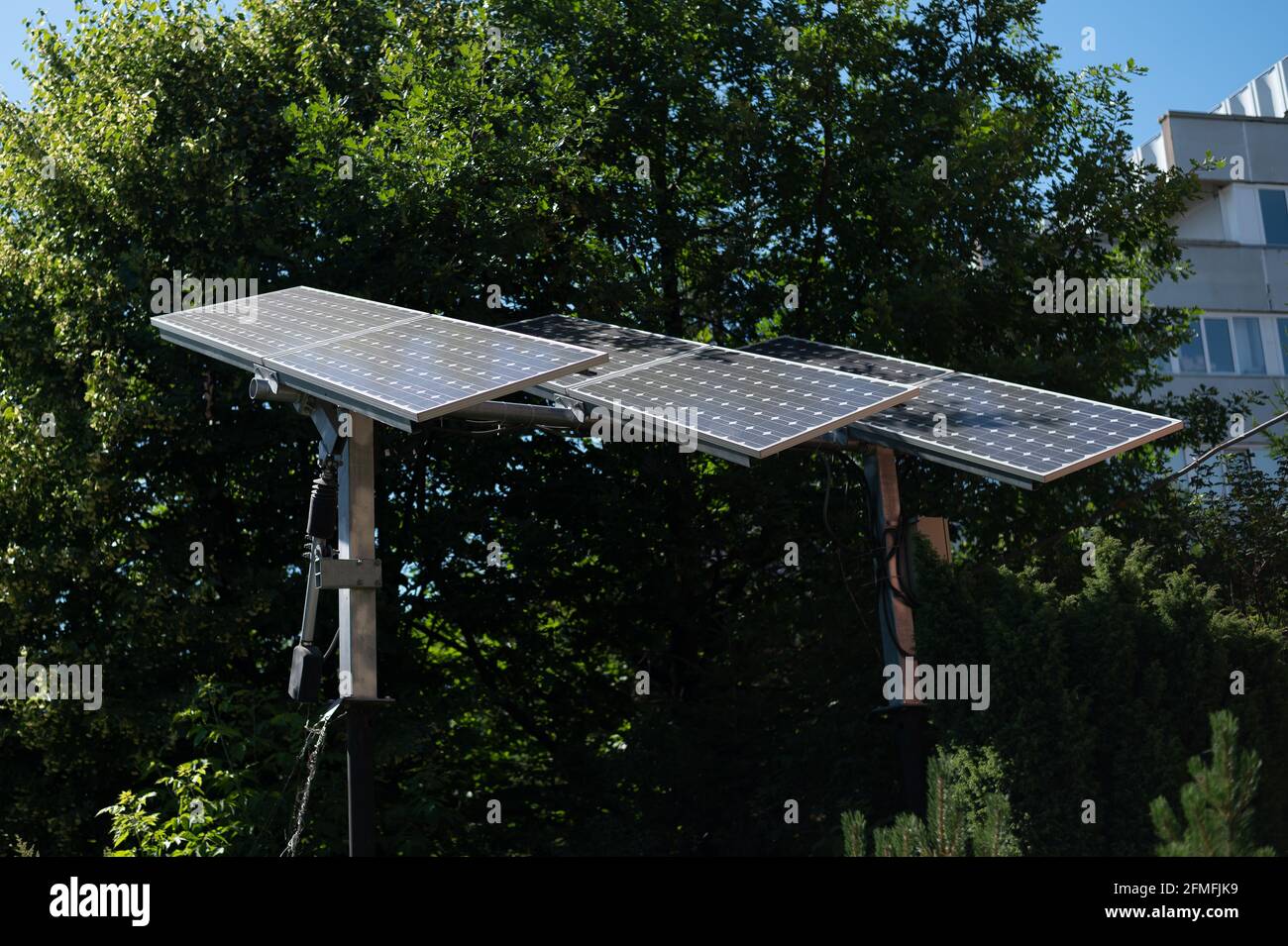 Solar panels in green foliage of trees Stock Photo - Alamy