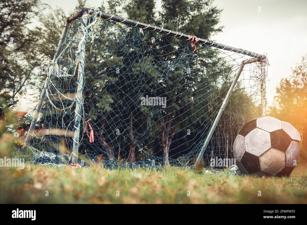Soccer Goal Right Side View