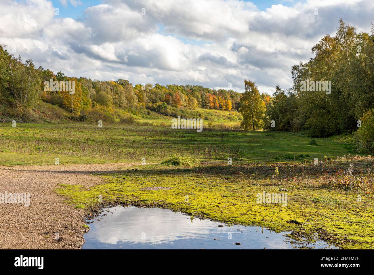 Waterford Heath Community Nature Park Stock Photo - Alamy