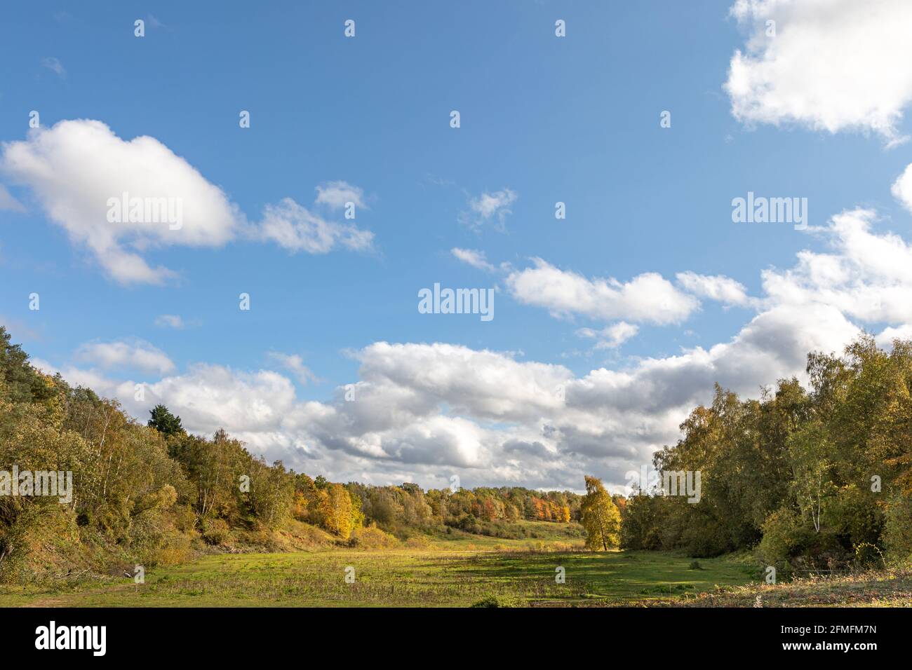 Waterford Heath Community Nature Park Stock Photo - Alamy