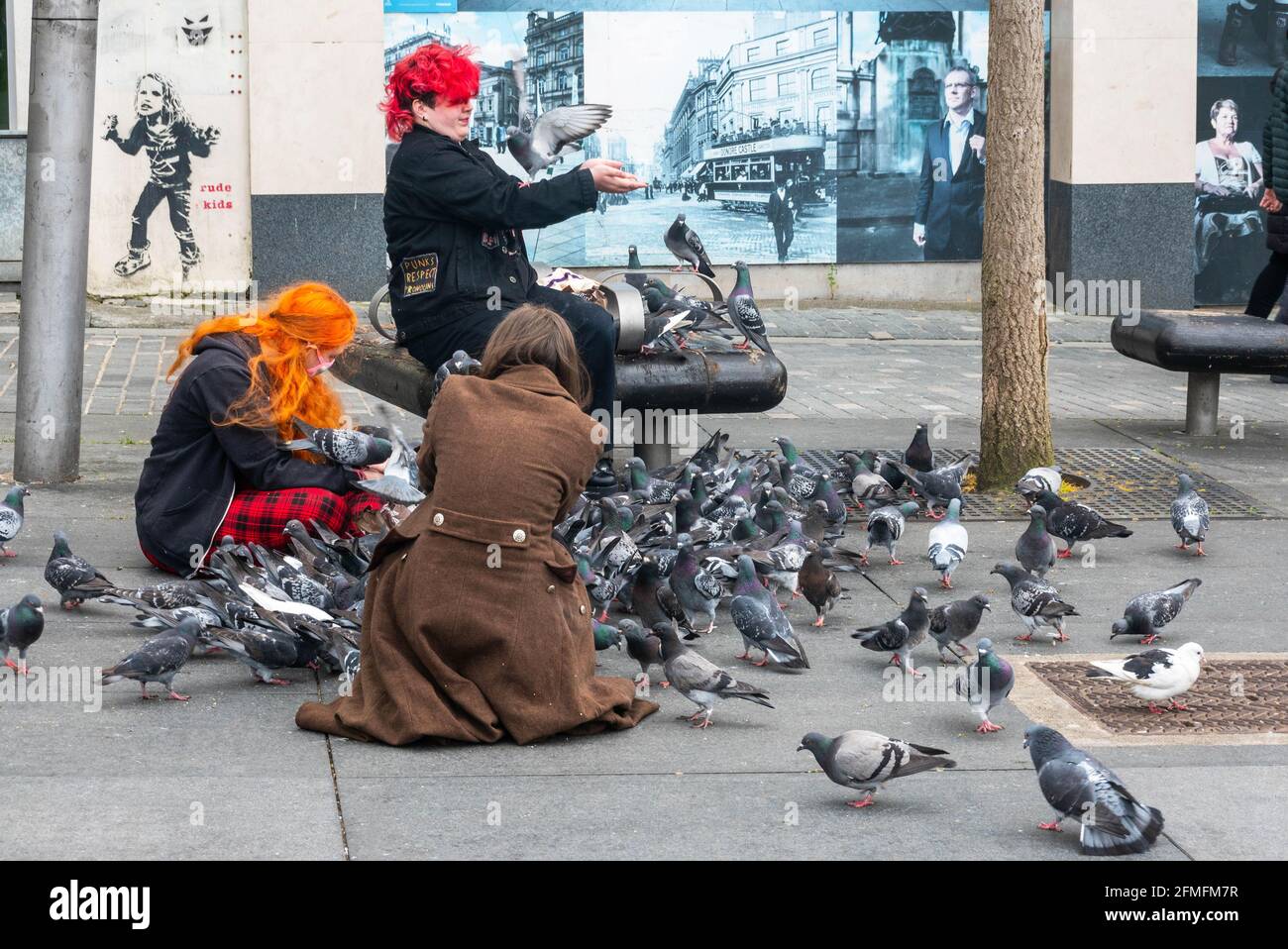 Liverpool pigeons hi-res stock photography and images - Alamy