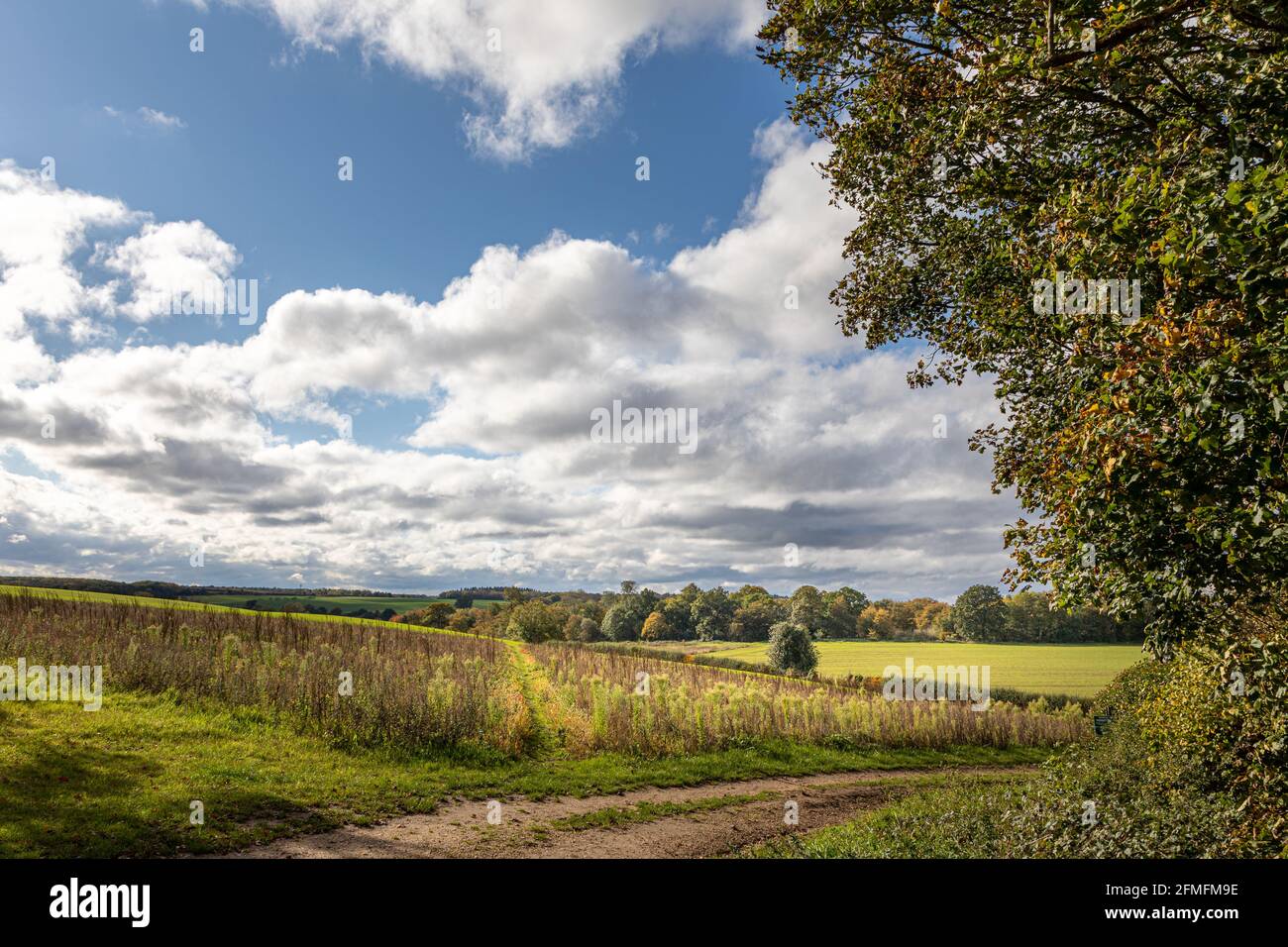 Community and nature hi-res stock photography and images - Alamy