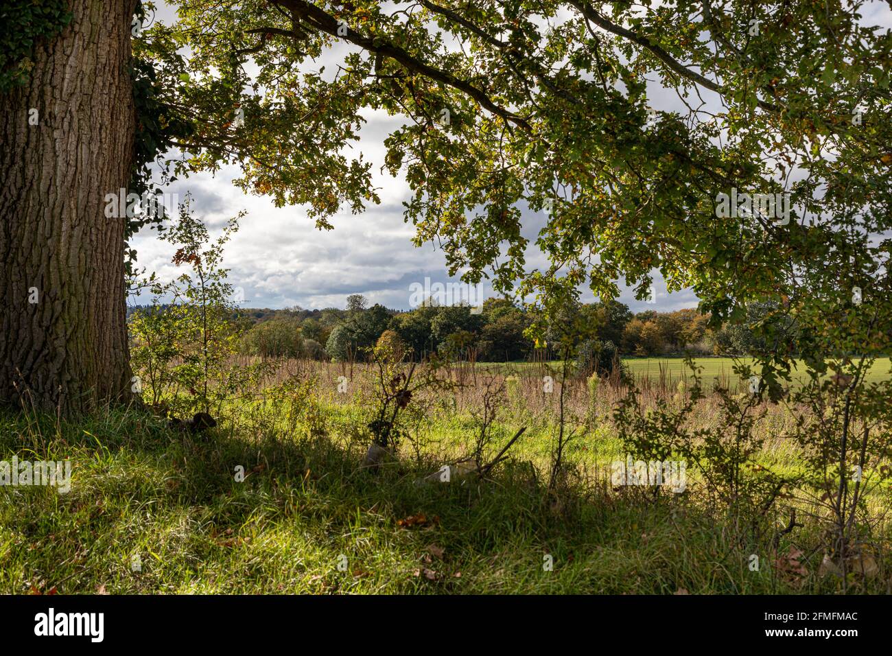 Community and nature hi-res stock photography and images - Alamy