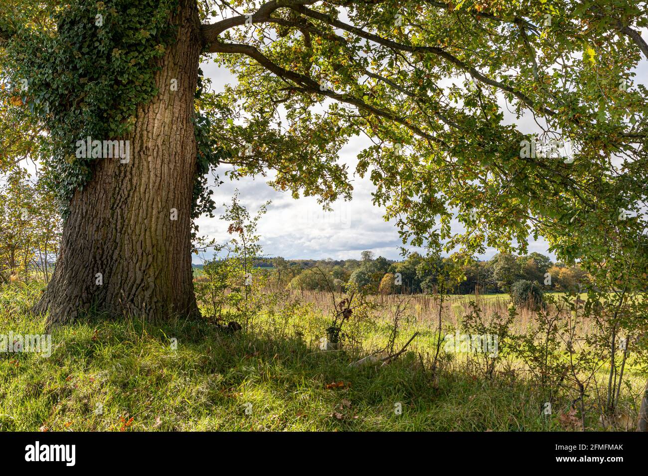 Community and nature hi-res stock photography and images - Alamy