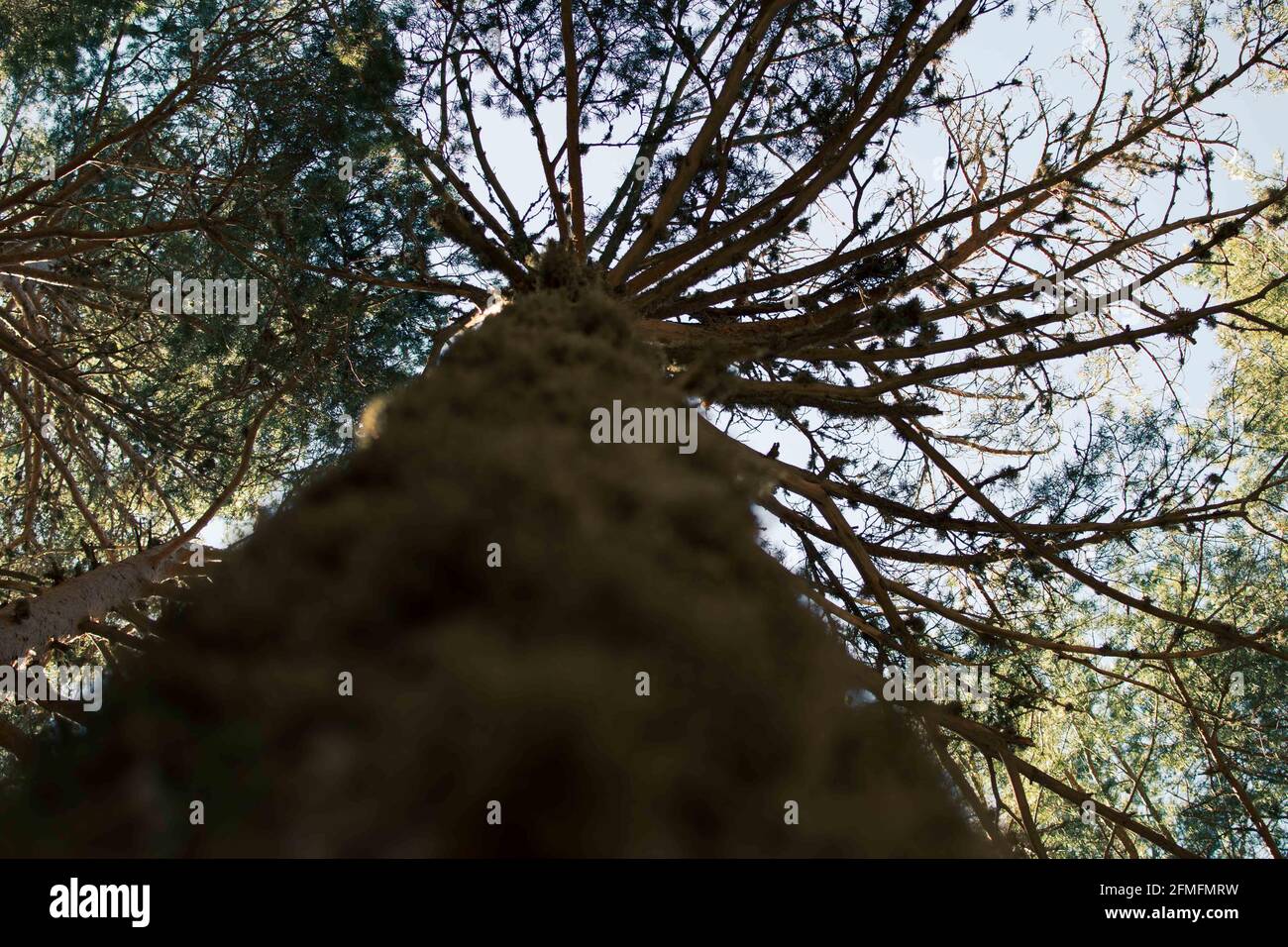 Hardly any sun hi-res stock photography and images - Alamy