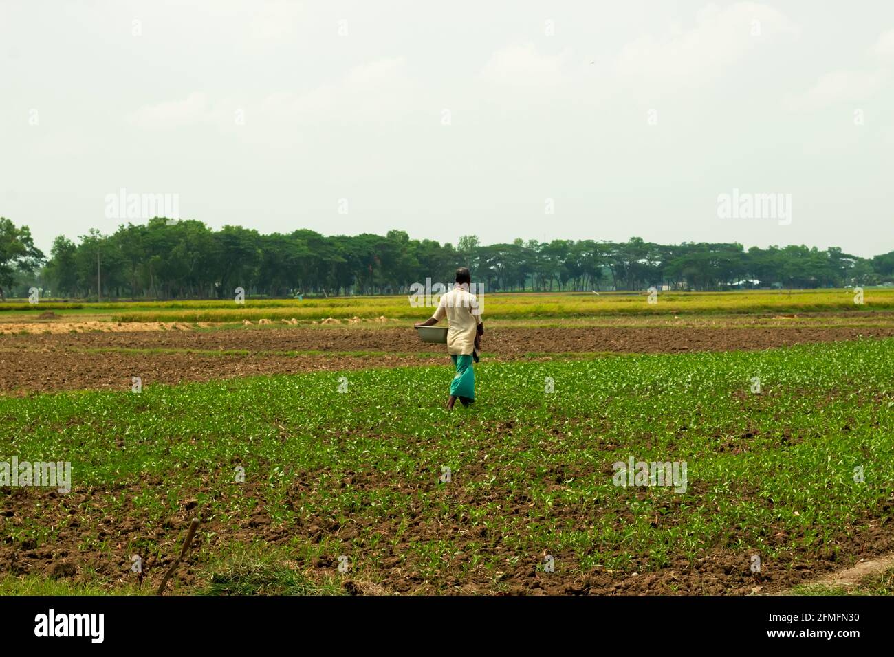 Jute bangladesh hi-res stock photography and images - Alamy