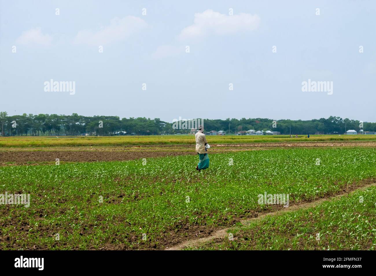 Jute bangladesh hi-res stock photography and images - Alamy