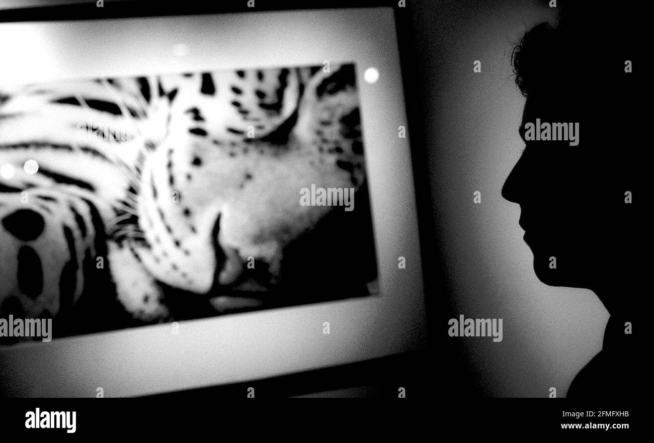 Olympus and the RSPCA December1998 supported The Young Photographer ...