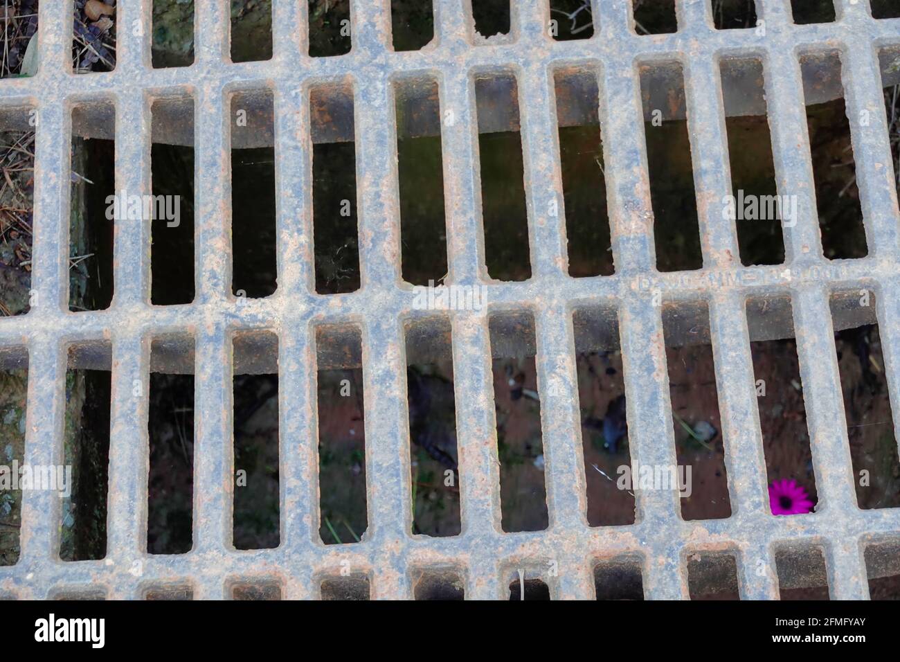 A shot of storm drain manhole, metal cover for outdoor drainage Stock ...