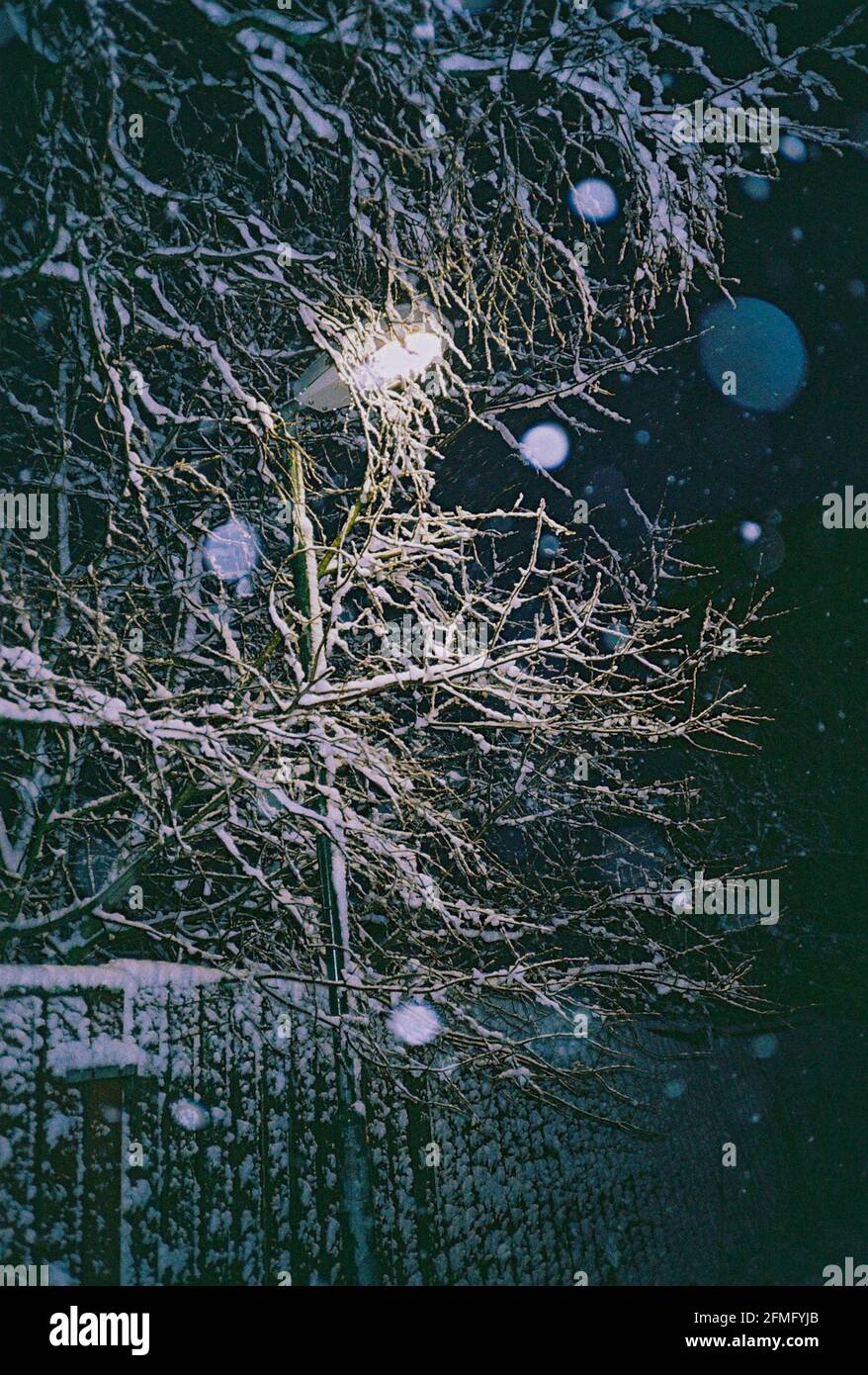 Night shot featuring a singular light fixture or a lamp Stock Photo - Alamy