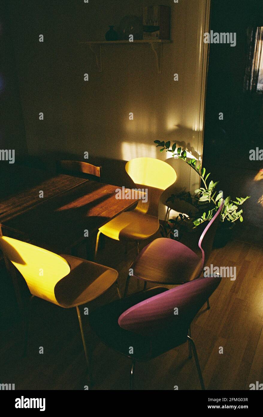 pictures taken during raves or parties. Some set inside and some set in ...