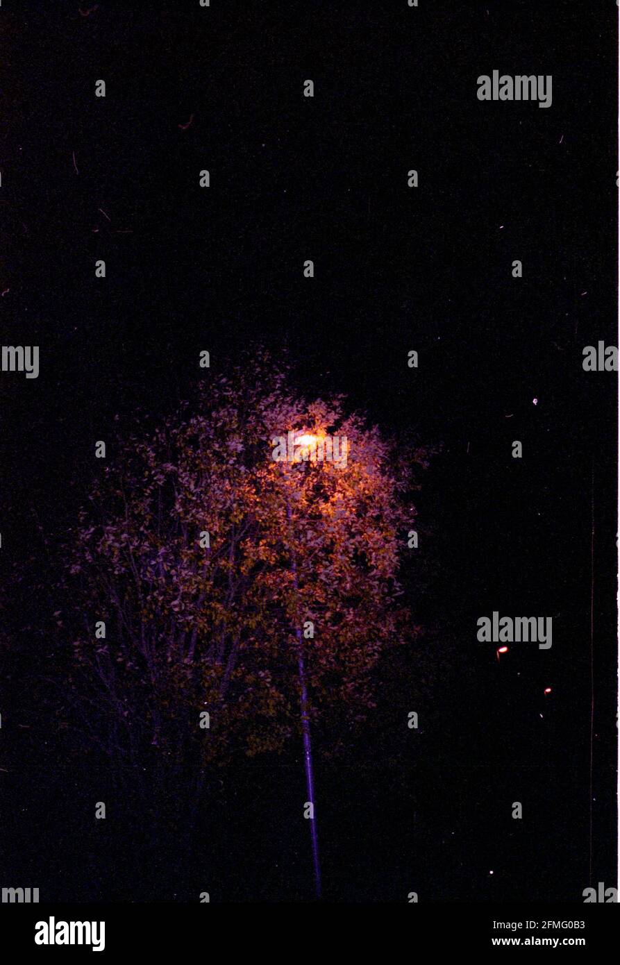 Night shot featuring a singular light fixture or a lamp Stock Photo - Alamy