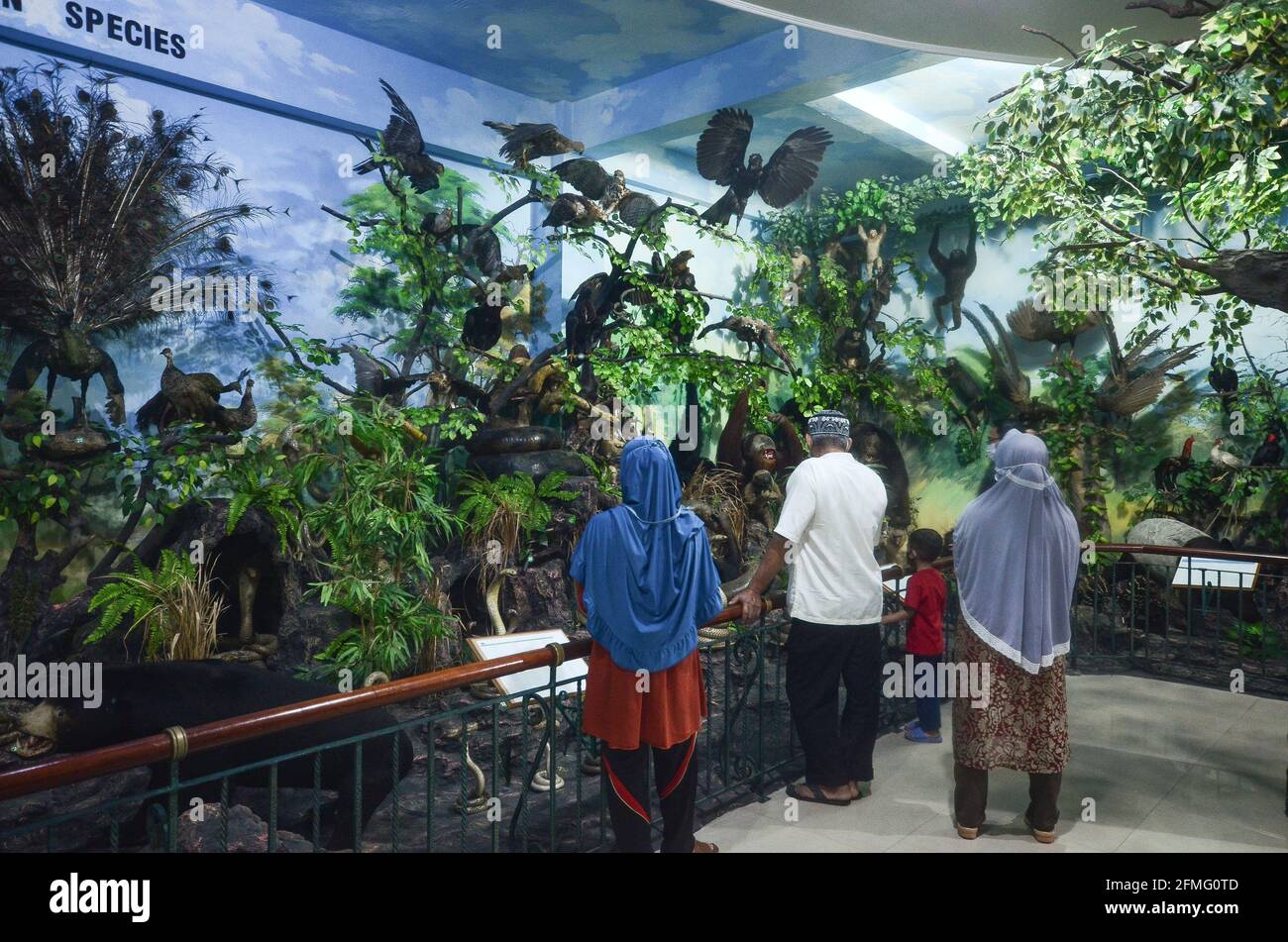 May 9, 2021, Medan, North Sumatra, Indonesia: Preserved animals from ...