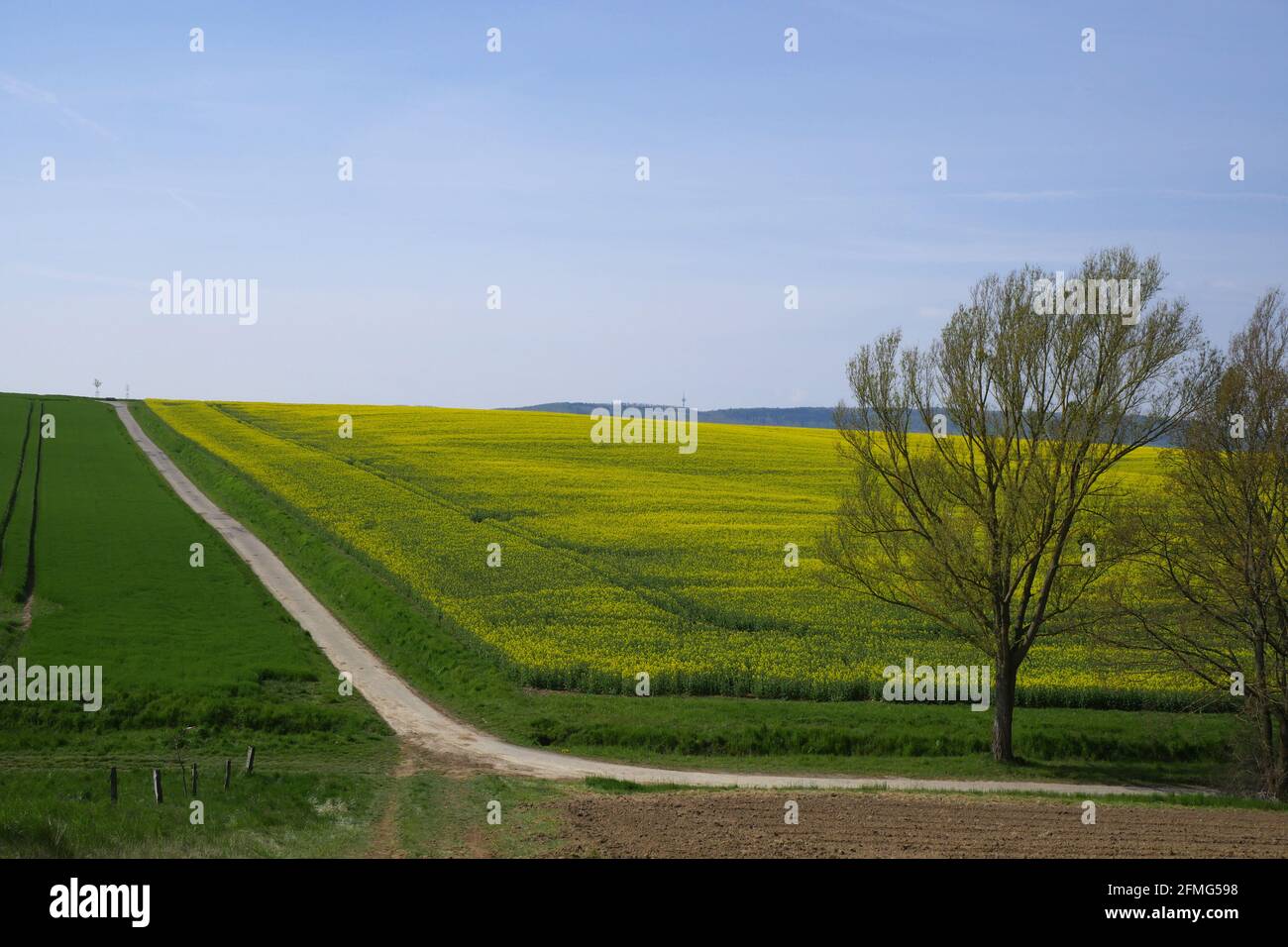 Rapeseed byproduct hi-res stock photography and images - Alamy