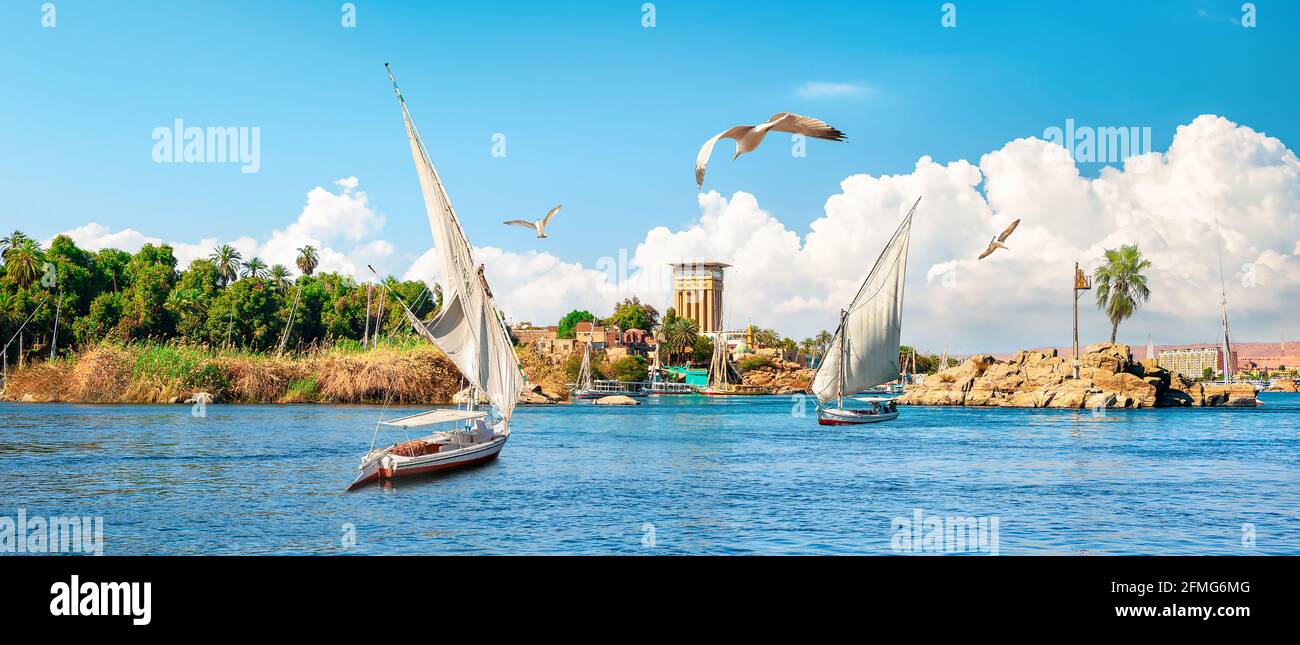 Sailing on river Nile in Aswan, Egypt Stock Photo - Alamy