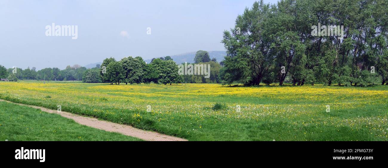 Meadow riverside forest hi-res stock photography and images - Alamy