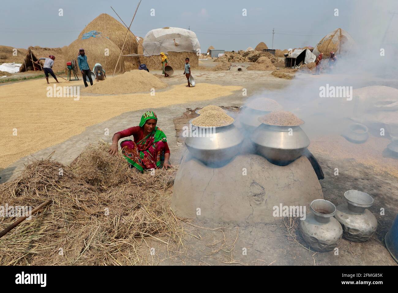 kishoreganj, Bangladesh - May 02, 2021: Bangladeshi farmers boiling of ...