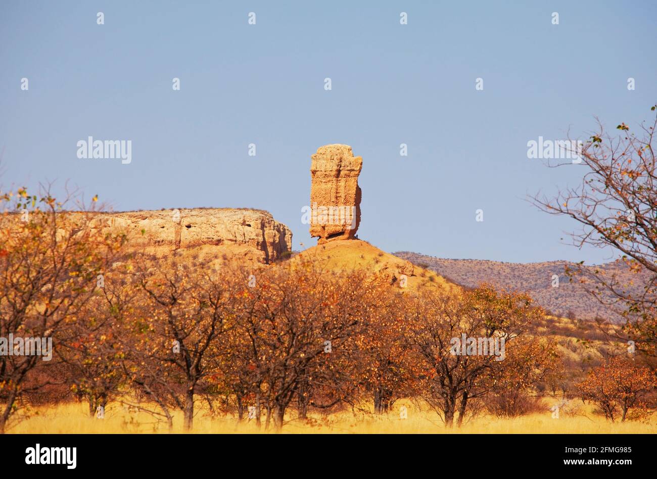 African landscapes -hot yellow bush, stines, trees and blue sky ...