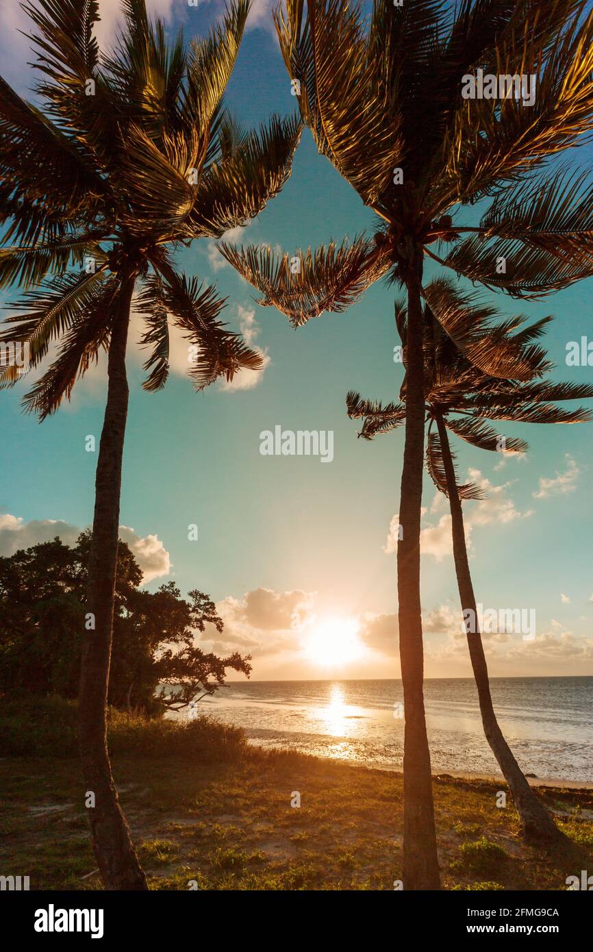 Beautiful summer landscapes on the tropical beach Stock Photo - Alamy