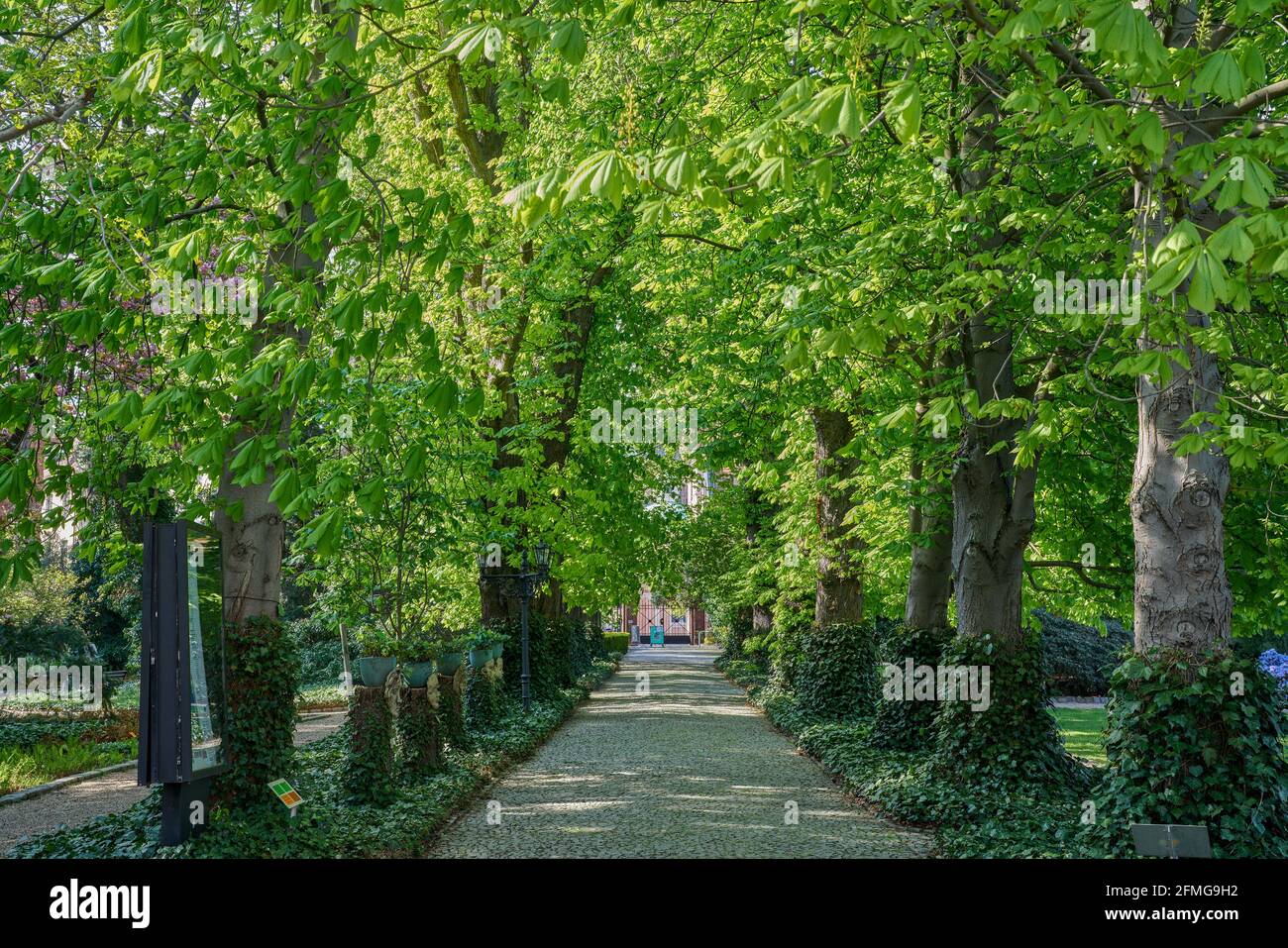 Botanical Gardens in the spring Wroclaw Lower Silesia Poland Stock ...